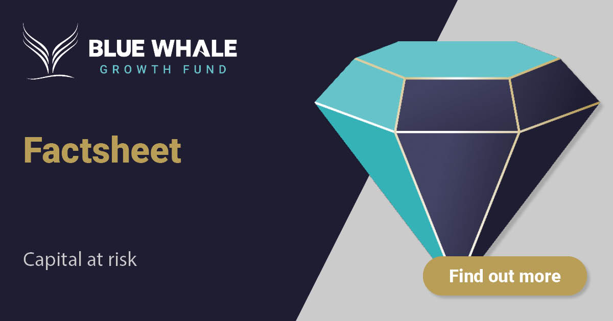 Factsheet | WS Blue Whale Growth Fund