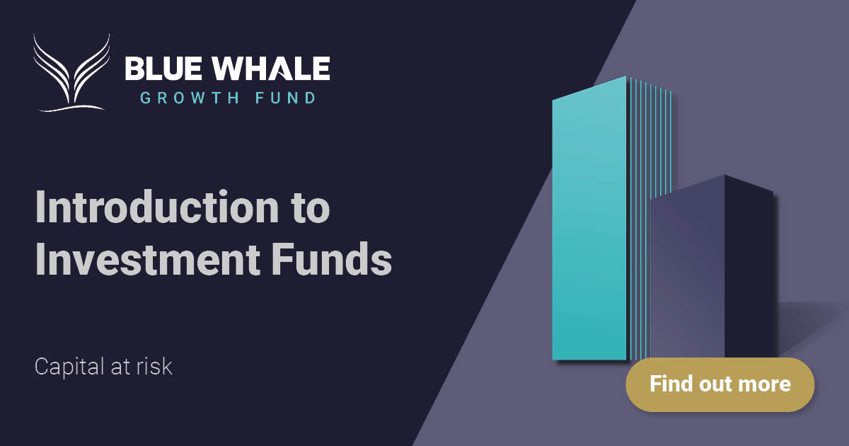 Introduction to Investment Funds | WS Blue Whale Growth Fund