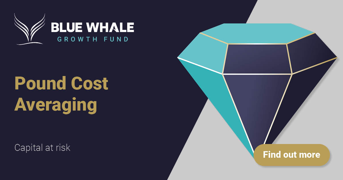 Understanding Pound Cost Averaging | WS Blue Whale Growth Fund